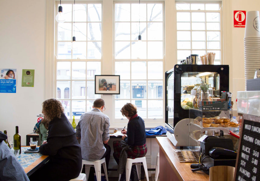 Wild Timor Carlton – Wild Timor Coffee